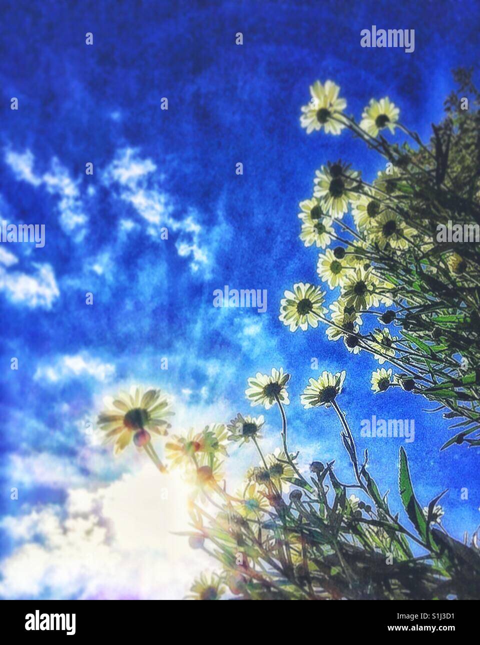 Seasons sunshine summer hi-res stock photography and images - Alamy