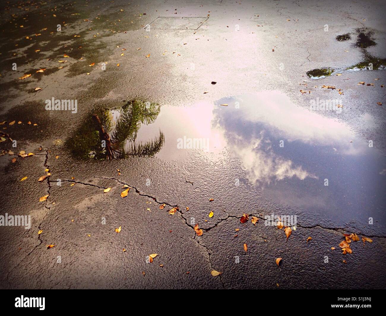 rainy day reflection on road Stock Photo - Alamy