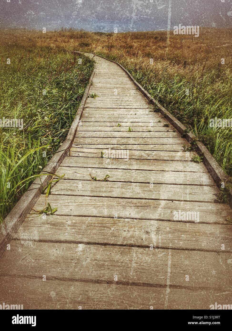 Man made walking trail hi-res stock photography and images - Alamy