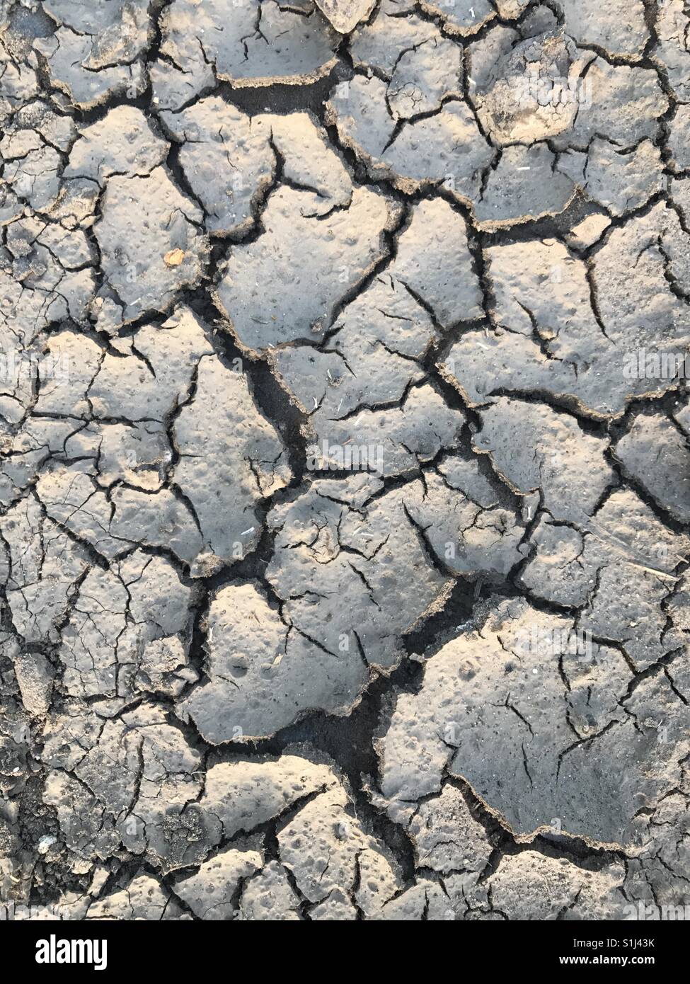 Cracks in mud hi-res stock photography and images - Alamy