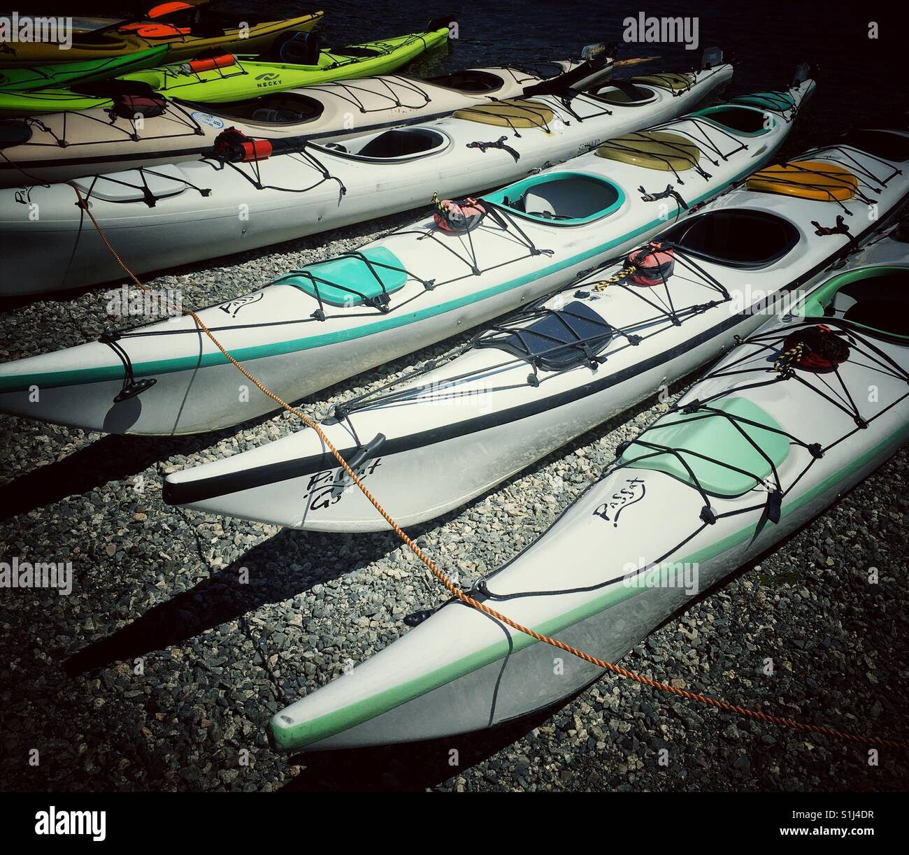Kayaks for rent Stock Photo - Alamy