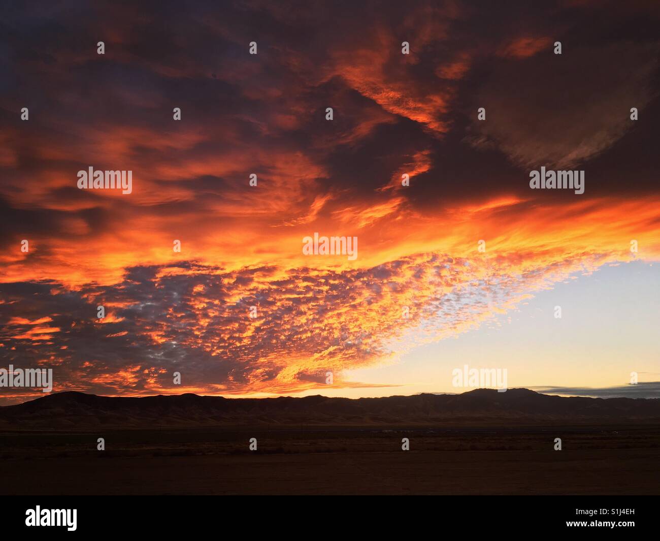 Avenal hi-res stock photography and images - Alamy