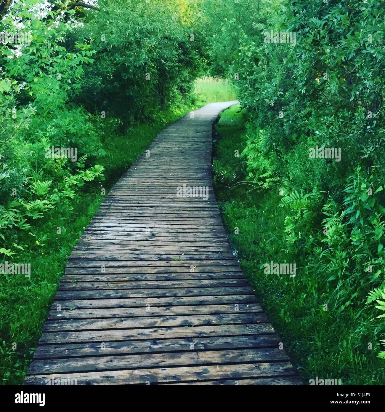 Life pathway hi-res stock photography and images - Alamy