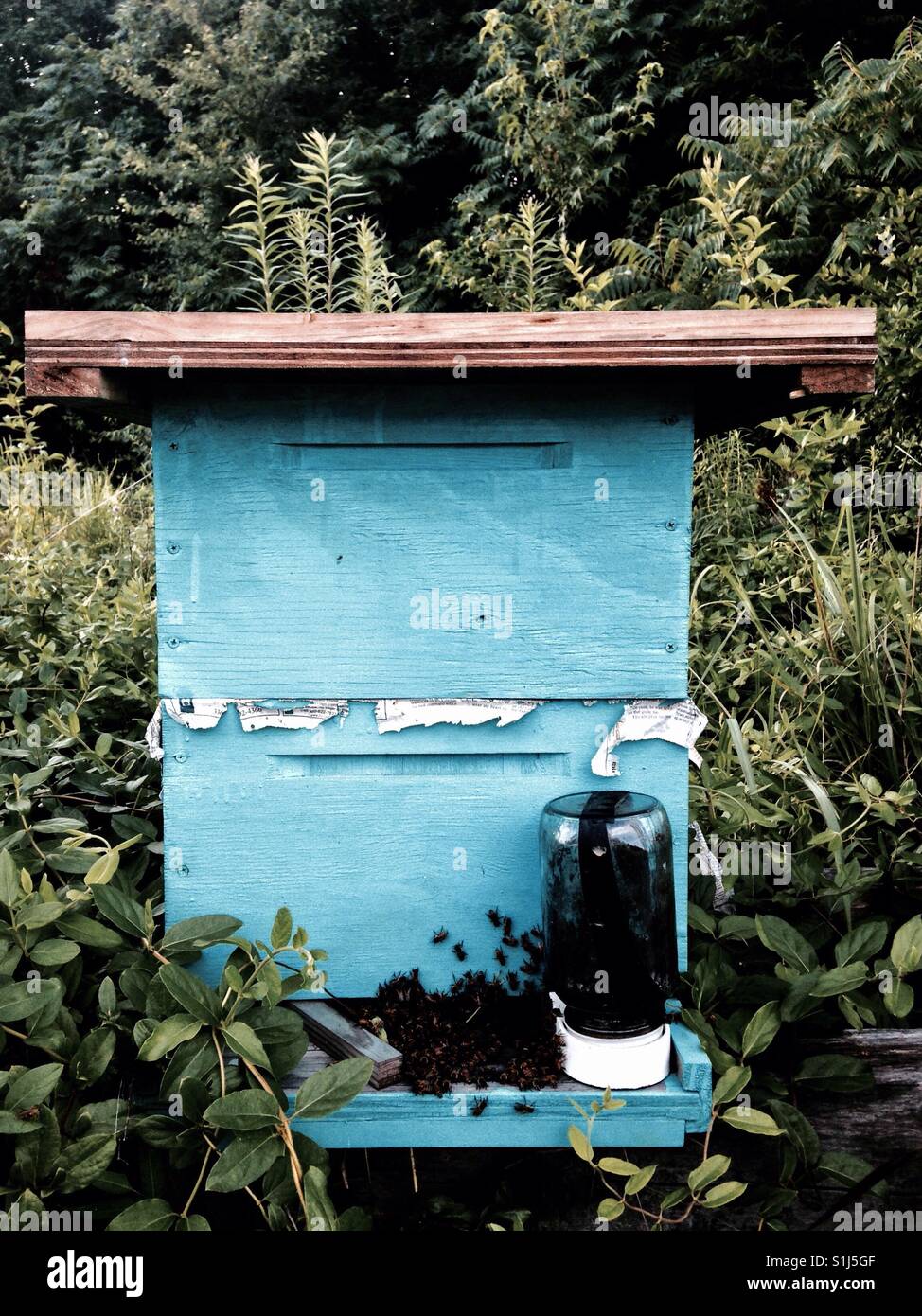 Honey filter hi-res stock photography and images - Alamy