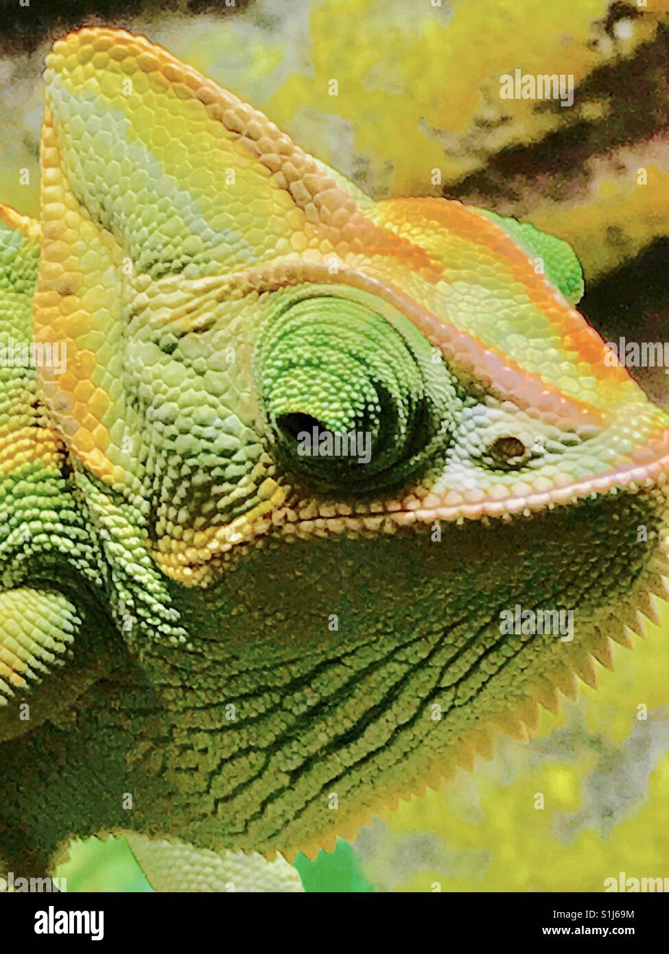 Saturated color hi-res stock photography and images - Alamy