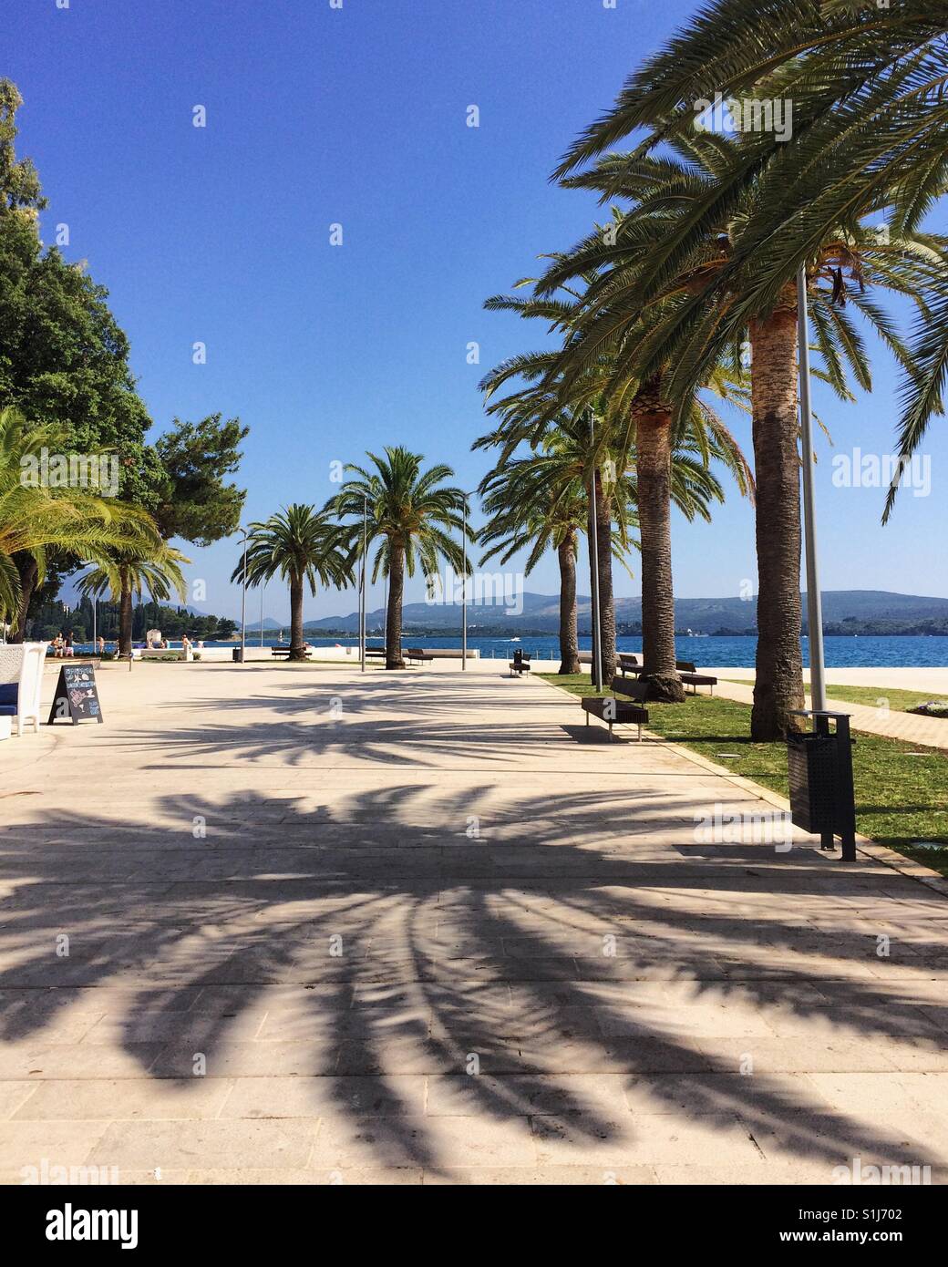 Shadows of palm trees hi-res stock photography and images - Alamy