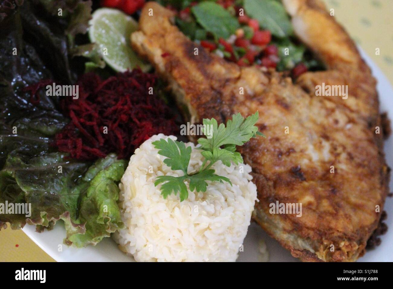 Rice with fish hi-res stock photography and images - Alamy