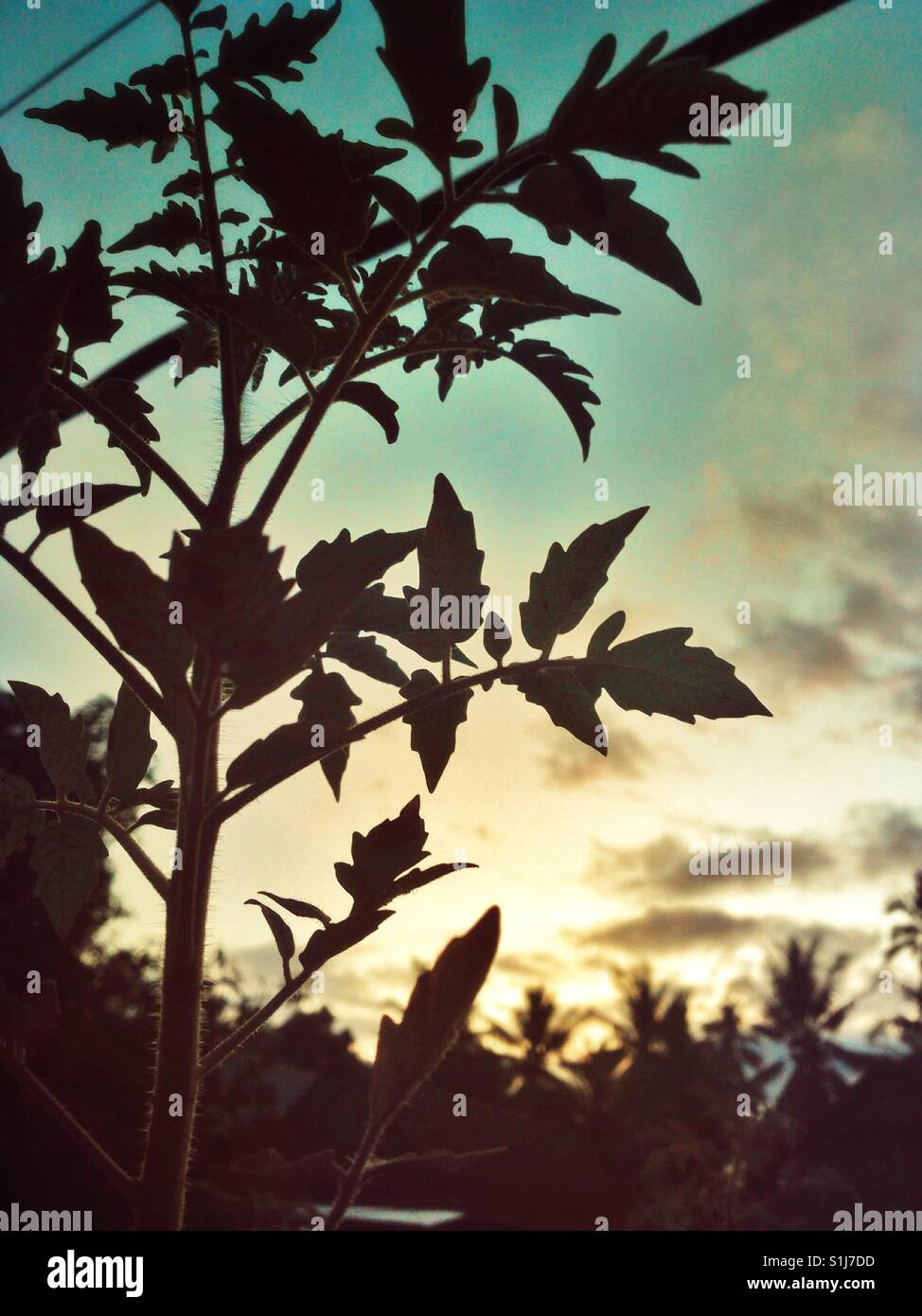 Hometown hi-res stock photography and images - Alamy