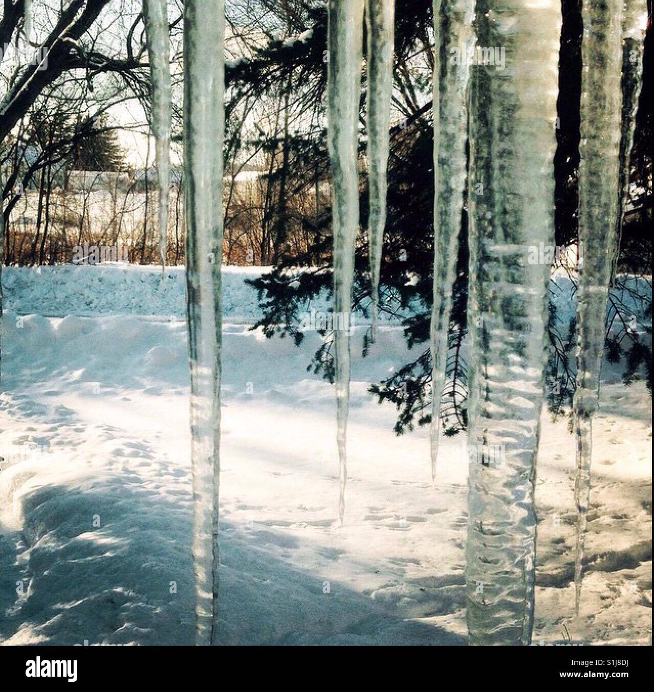 Icicles on a winter morning Stock Photo - Alamy