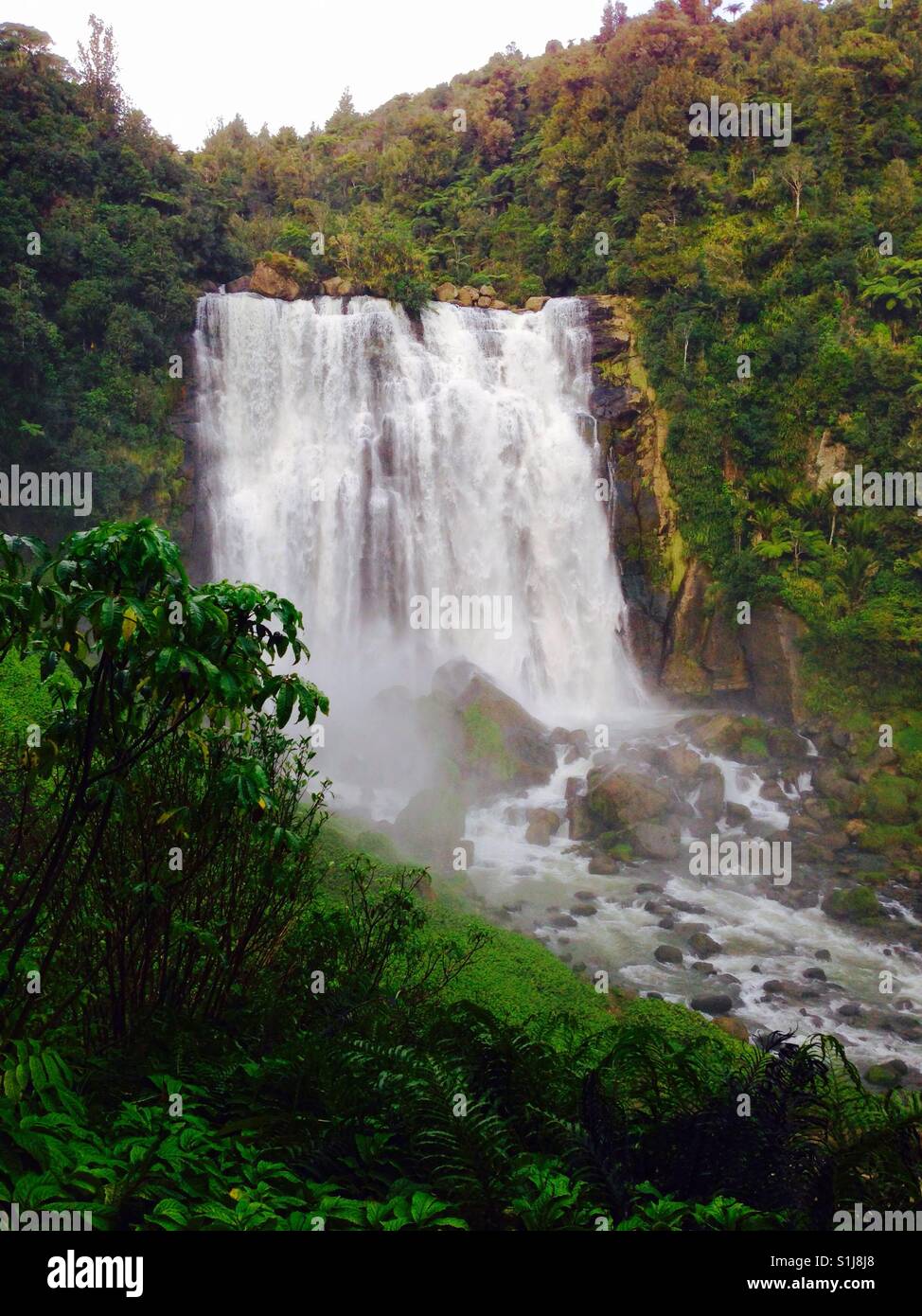 Rere hi-res stock photography and images - Alamy