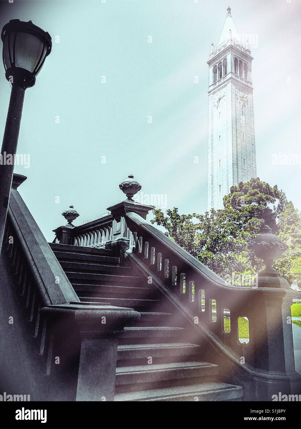 The tower of University of Berkeley Stock Photo - Alamy