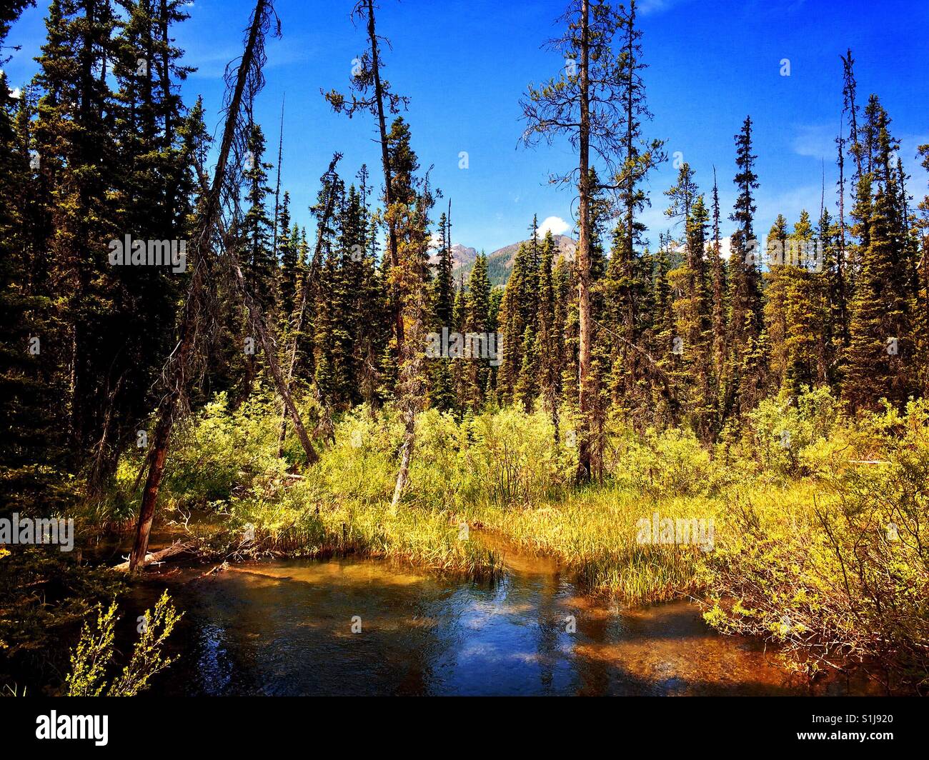 Beautiful banff national park hi-res stock photography and images - Alamy