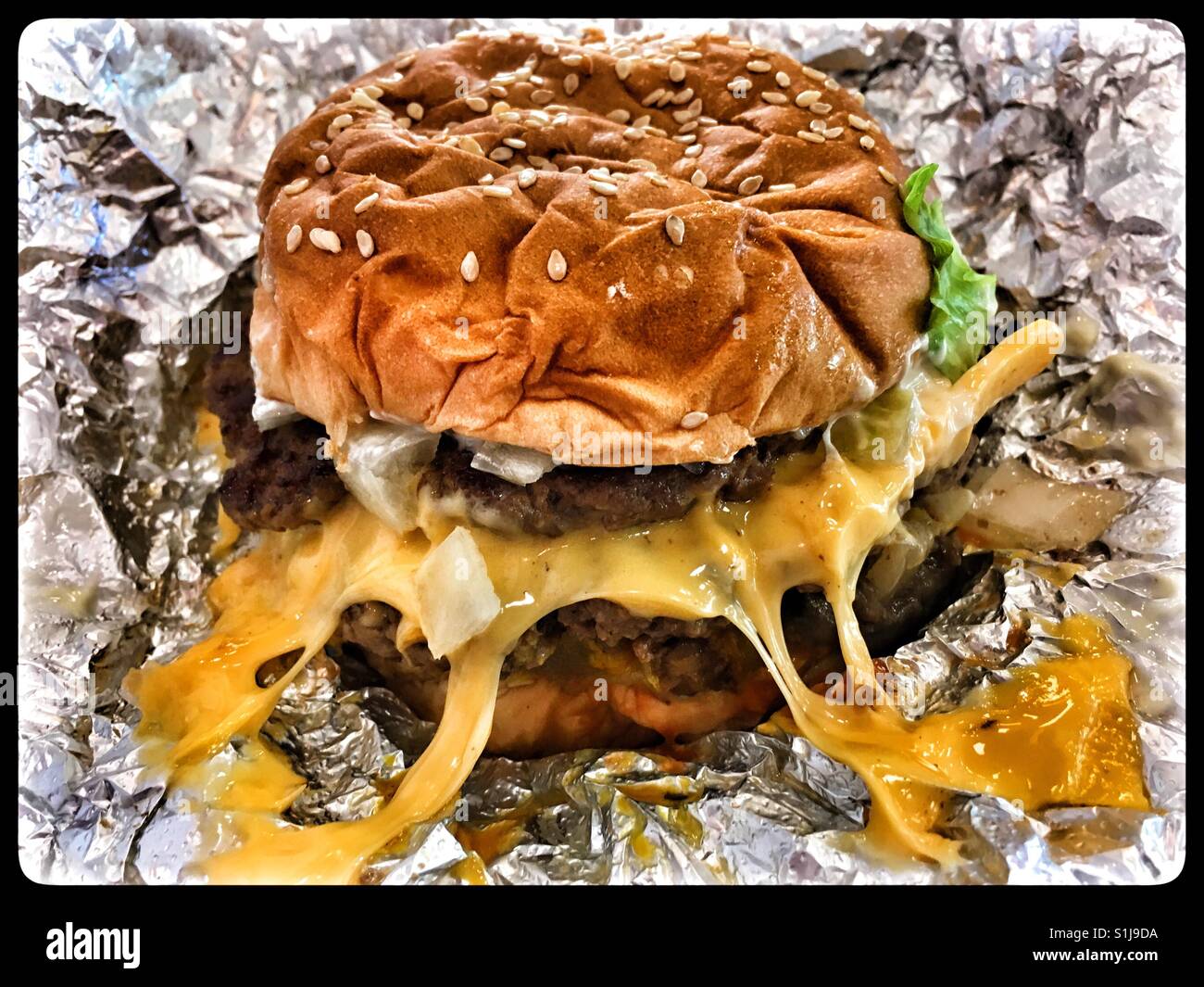 Greasy Bacon Cheeseburger