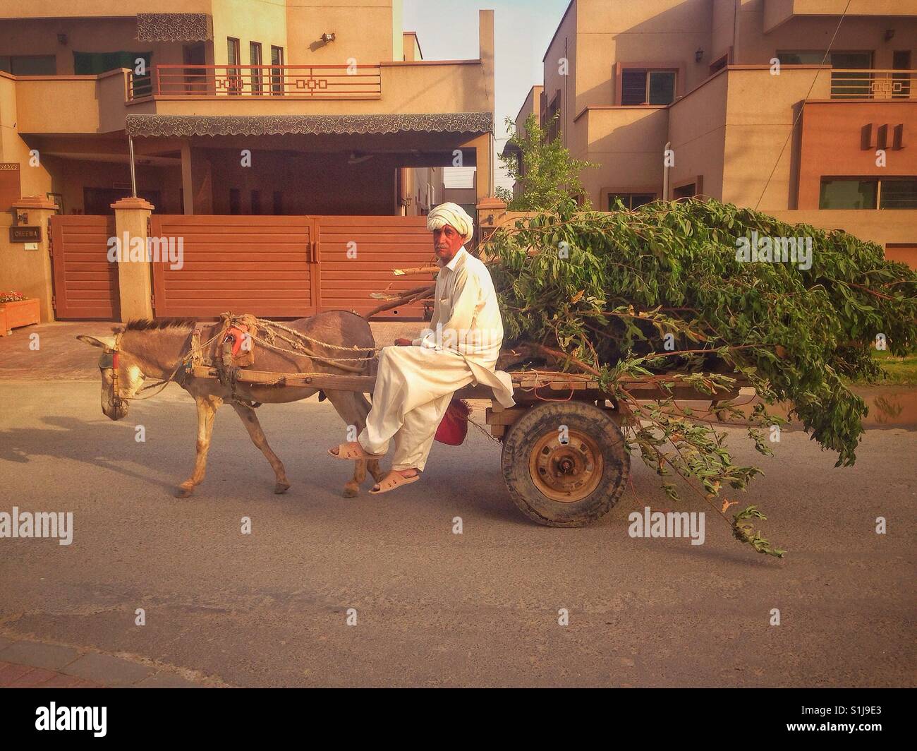 Donkey Cart Pakistan Pakistani High Resolution Stock Photography and ...