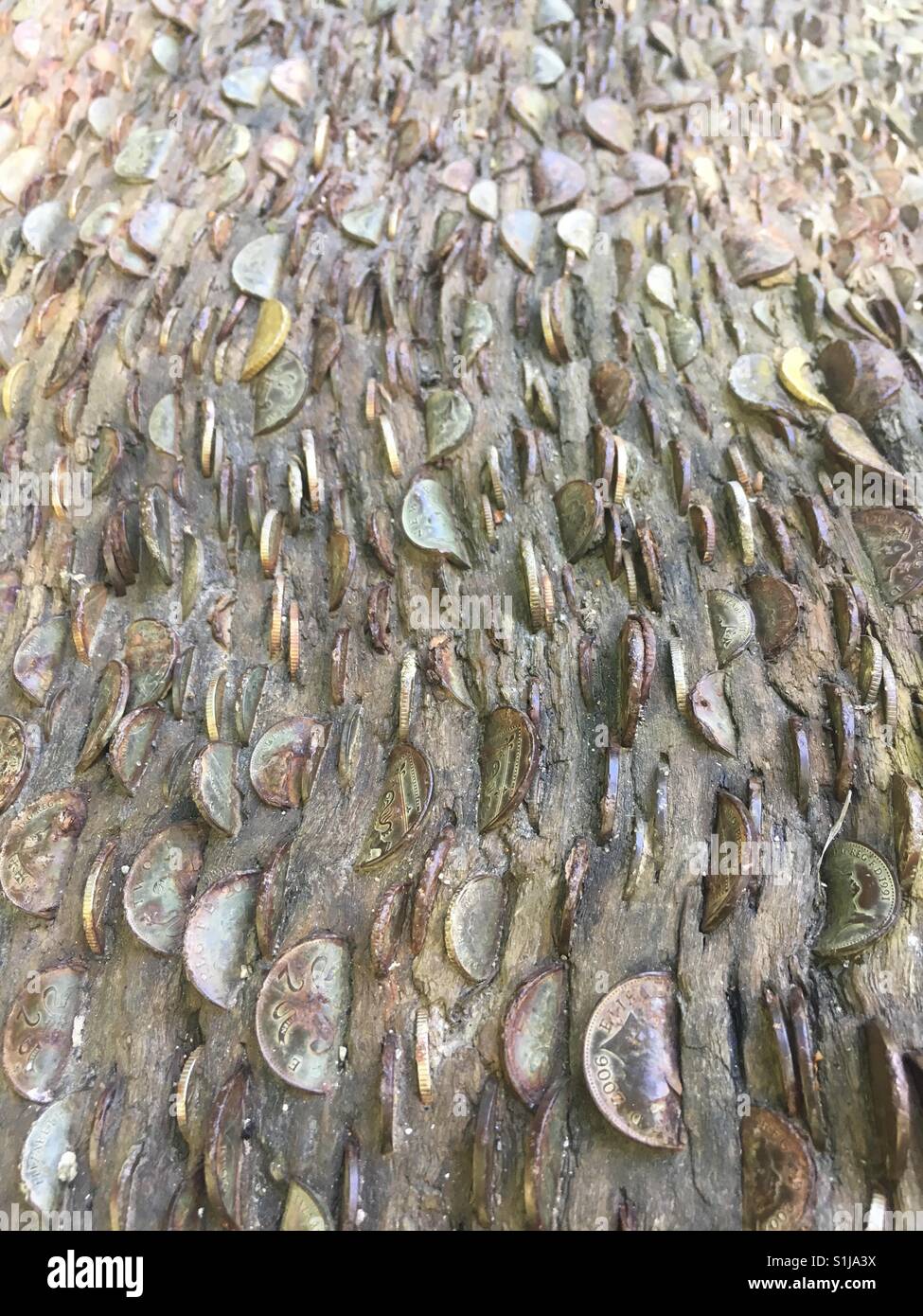 Penny For Your Thoughts High Resolution Stock Photography and Images ...