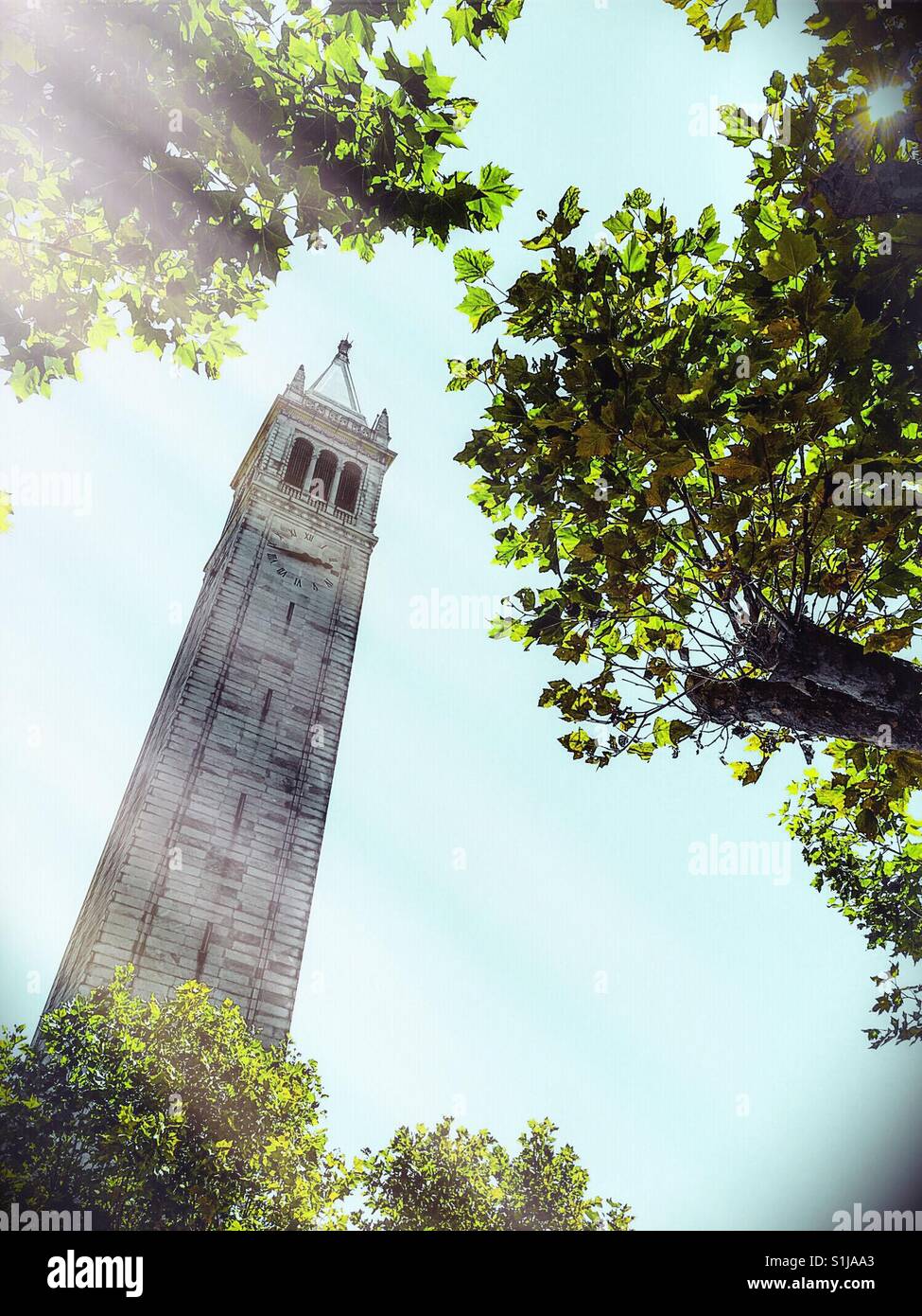 The tower of University Berkeley Stock Photo - Alamy