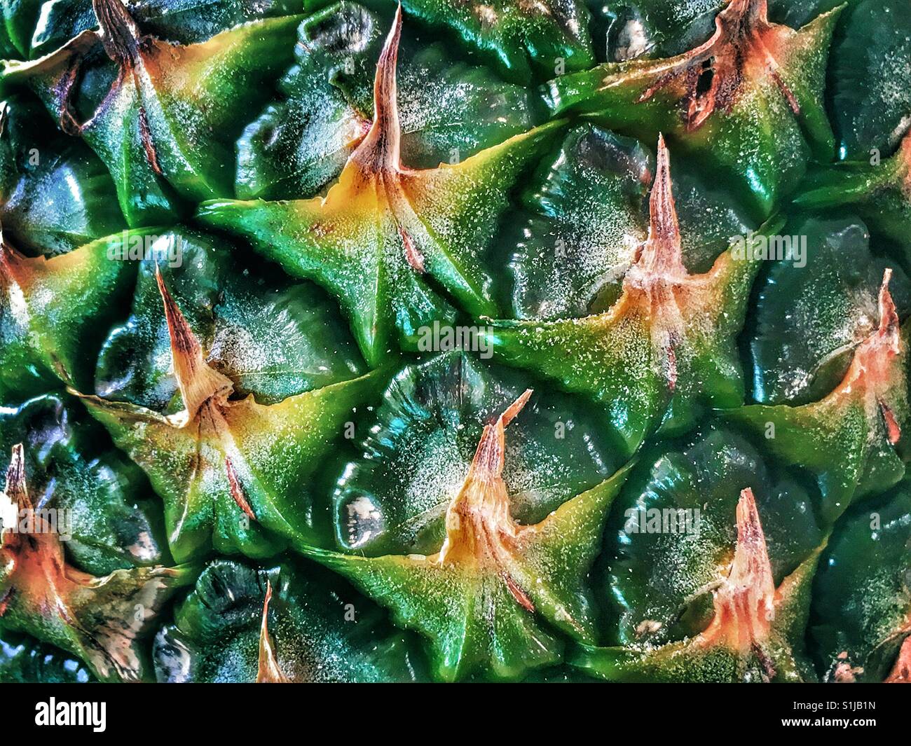 Pineapple, close up Stock Photo - Alamy