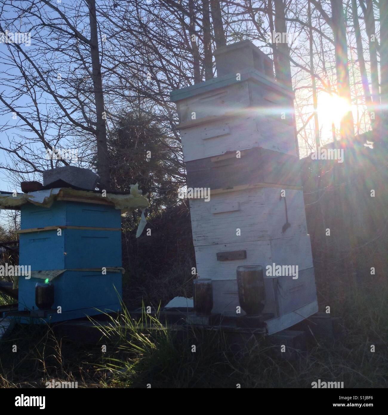 Utiful High Resolution Stock Photography and Images - Alamy