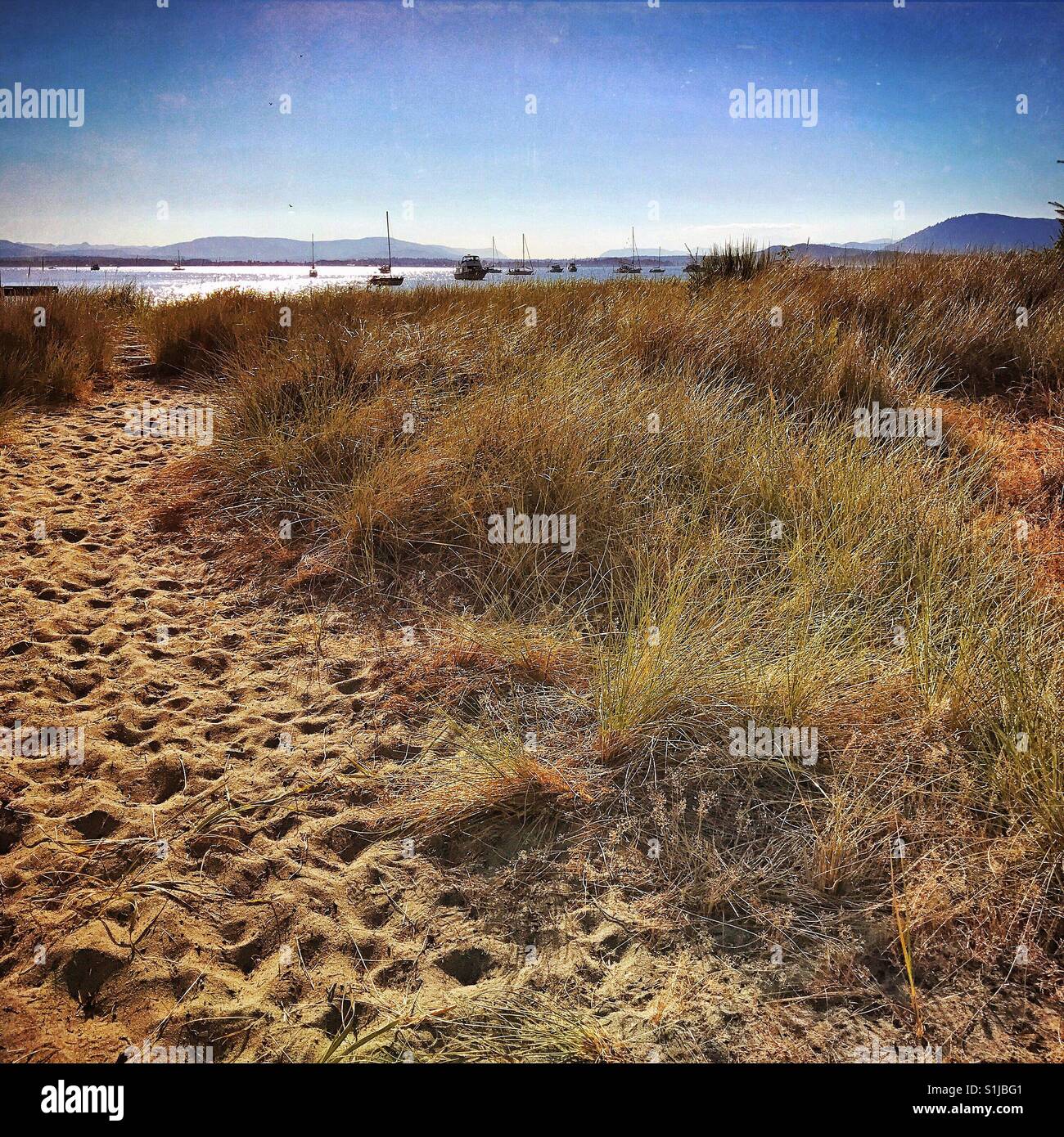 Sidney Island And Sidney Spit High Resolution Stock Photography and ...
