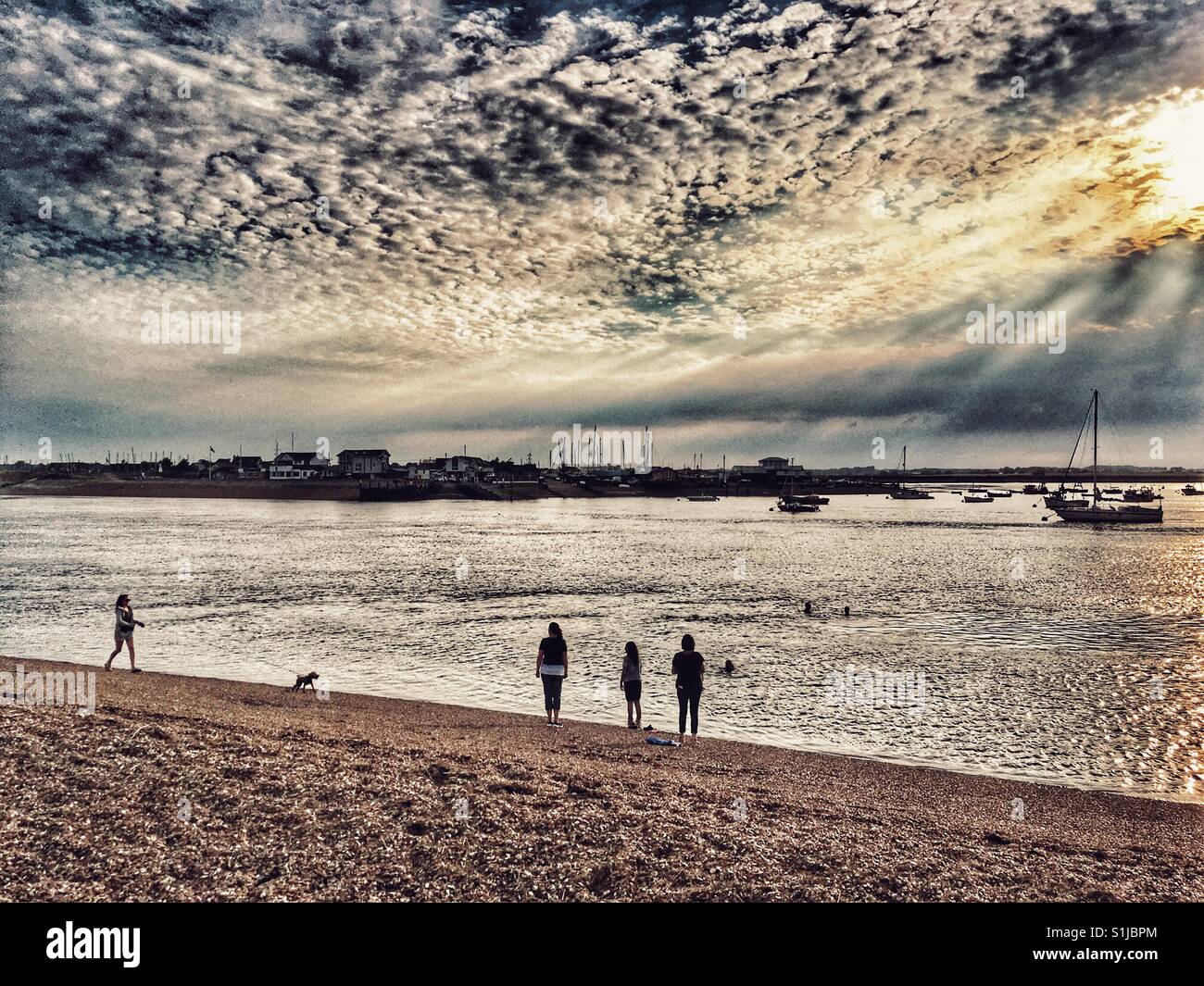 River Deben Bawdsey Ferry Stock Photo - Alamy