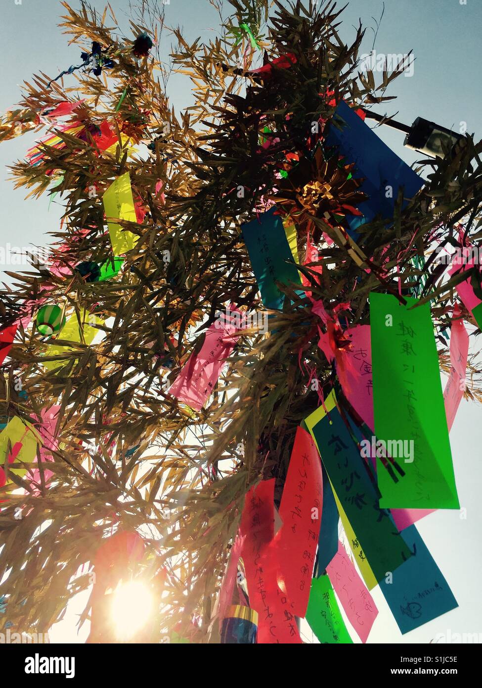 Tanabata Tree