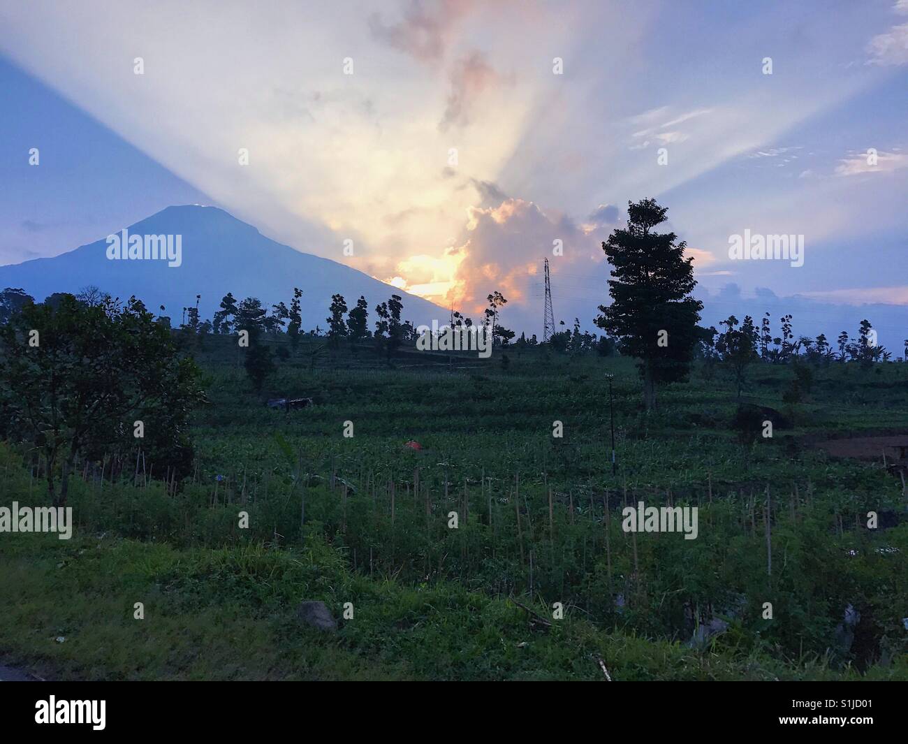 Mountain central java hi-res stock photography and images - Alamy