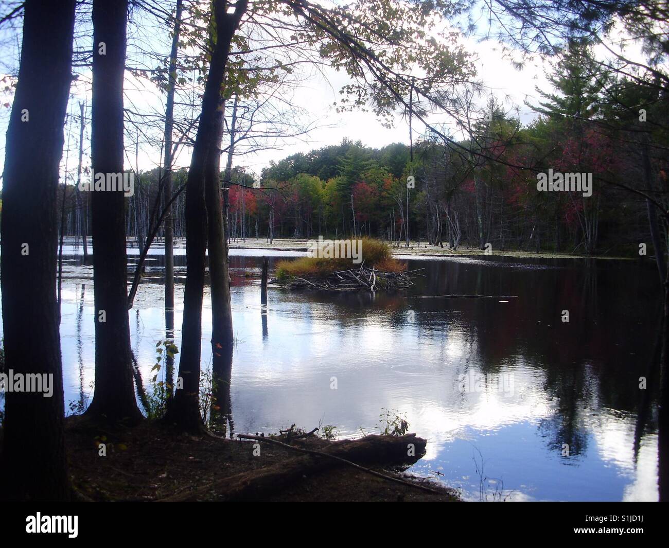 New hampshire wetlands hi-res stock photography and images - Alamy