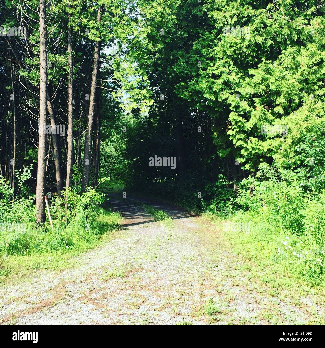 Lifes pathway hi-res stock photography and images - Alamy