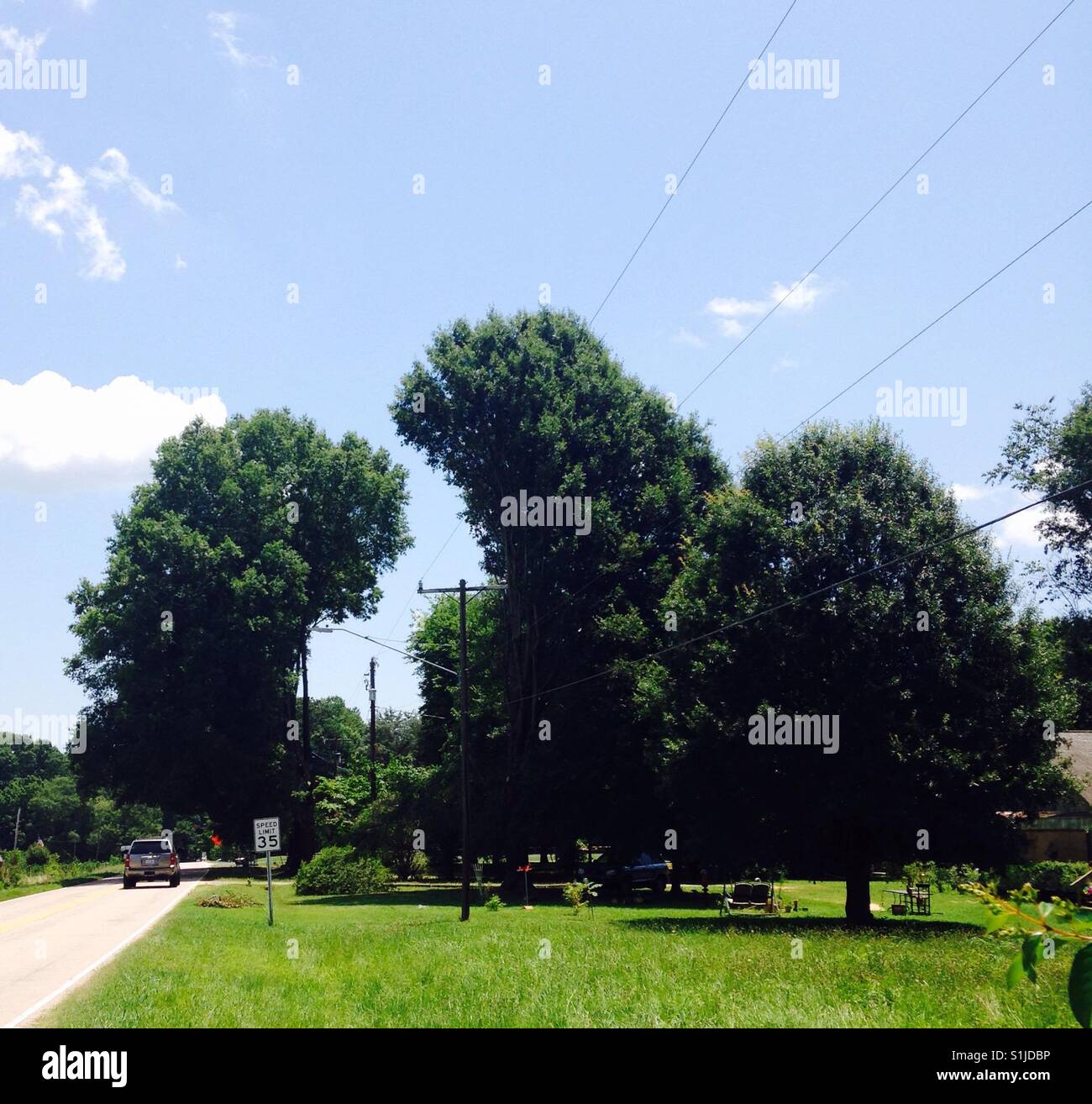 Trees trimmed from power lines Stock Photo - Alamy
