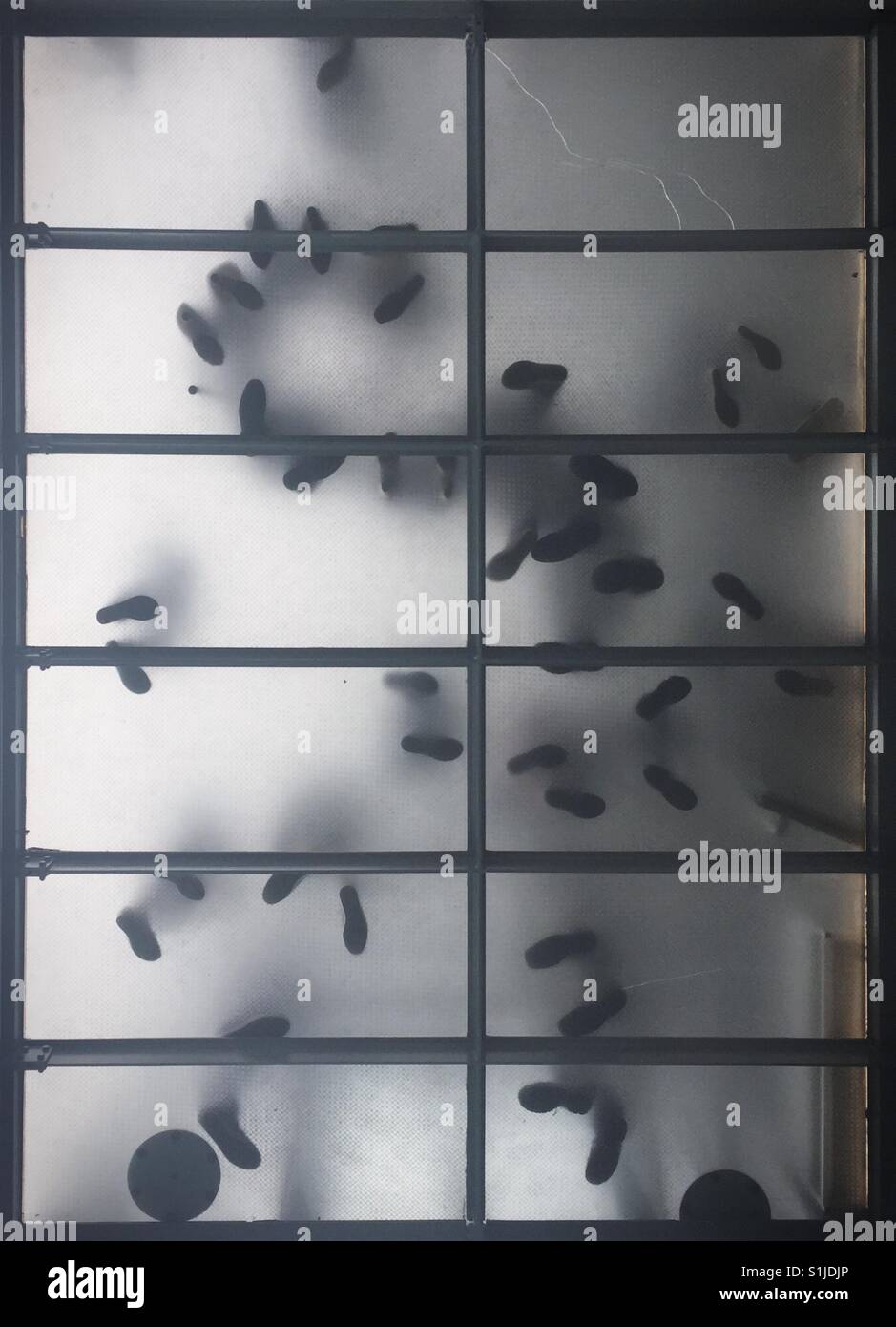 Feet seen hi-res stock photography and images - Alamy