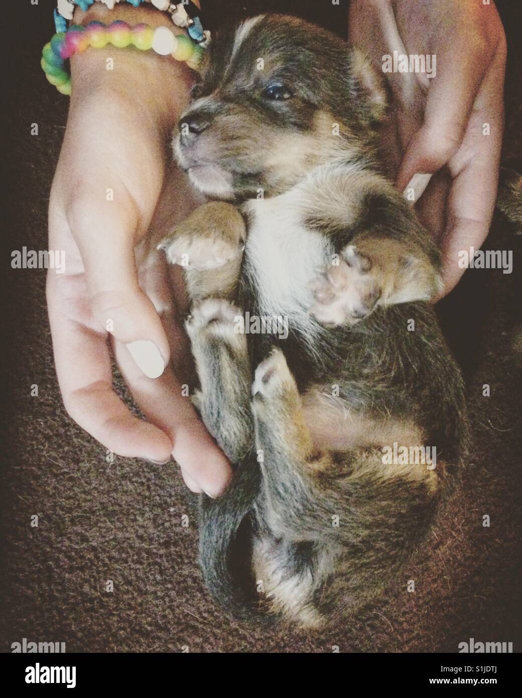 Cuddles with dog hi-res stock photography and images - Alamy