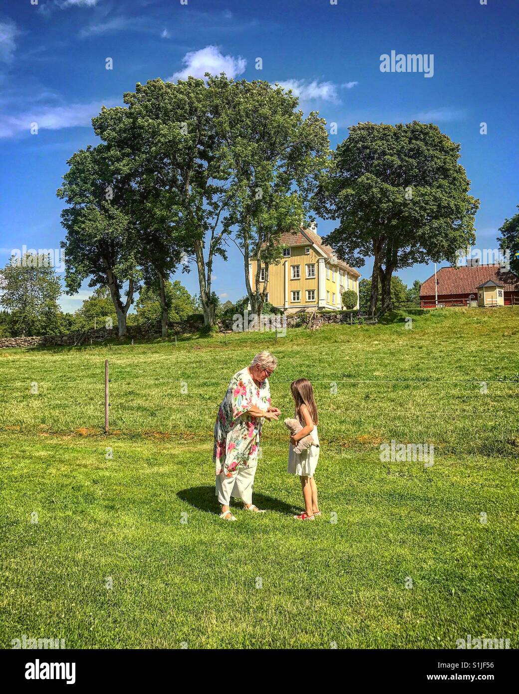 Girl with grandmother trees hi-res stock photography and images - Alamy