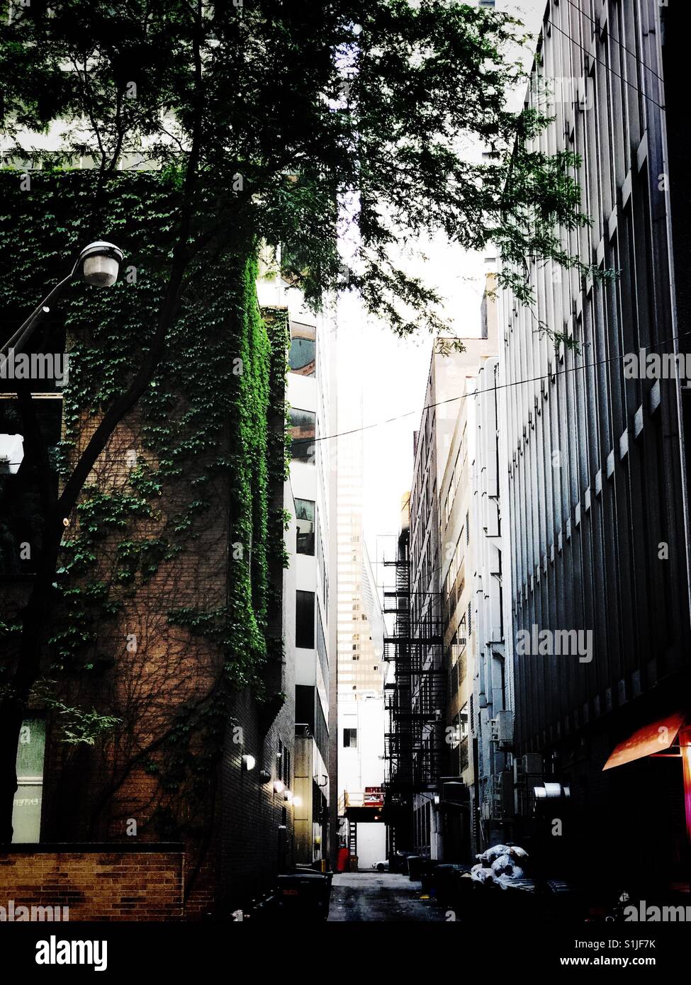 Chicago brick skyscraper hi-res stock photography and images - Alamy