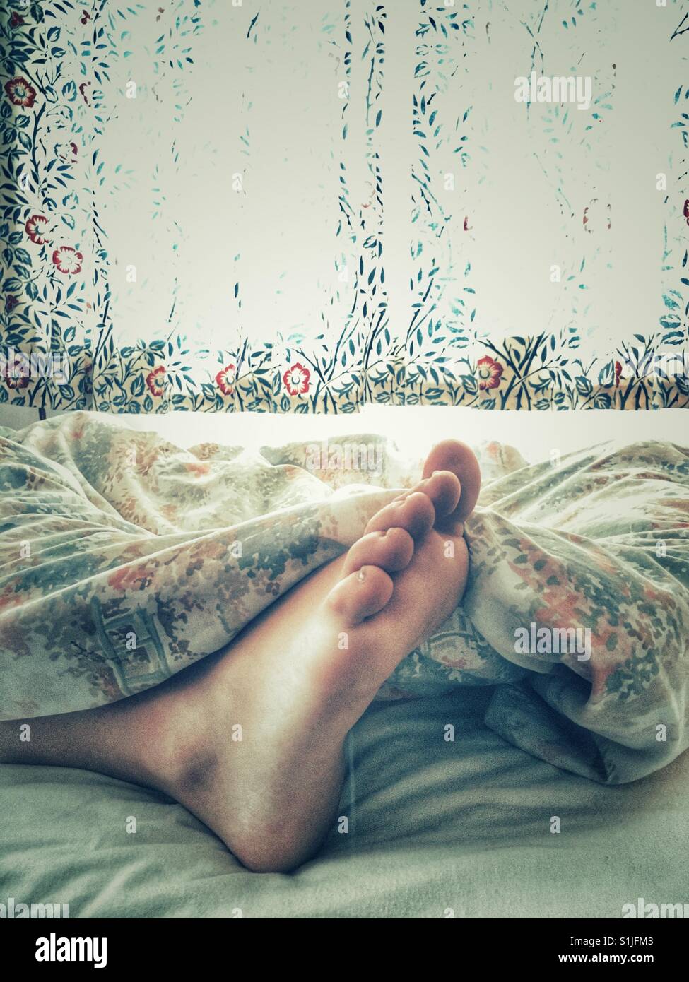 Young woman in bed, detail of foot sticking out from under the duvet ...