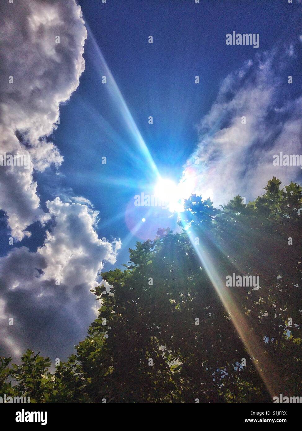 Midday sun heat hi-res stock photography and images - Alamy