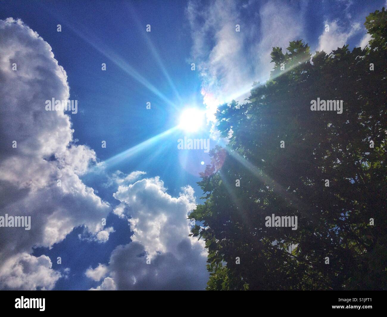 Seasons summer sunshine hi-res stock photography and images - Alamy