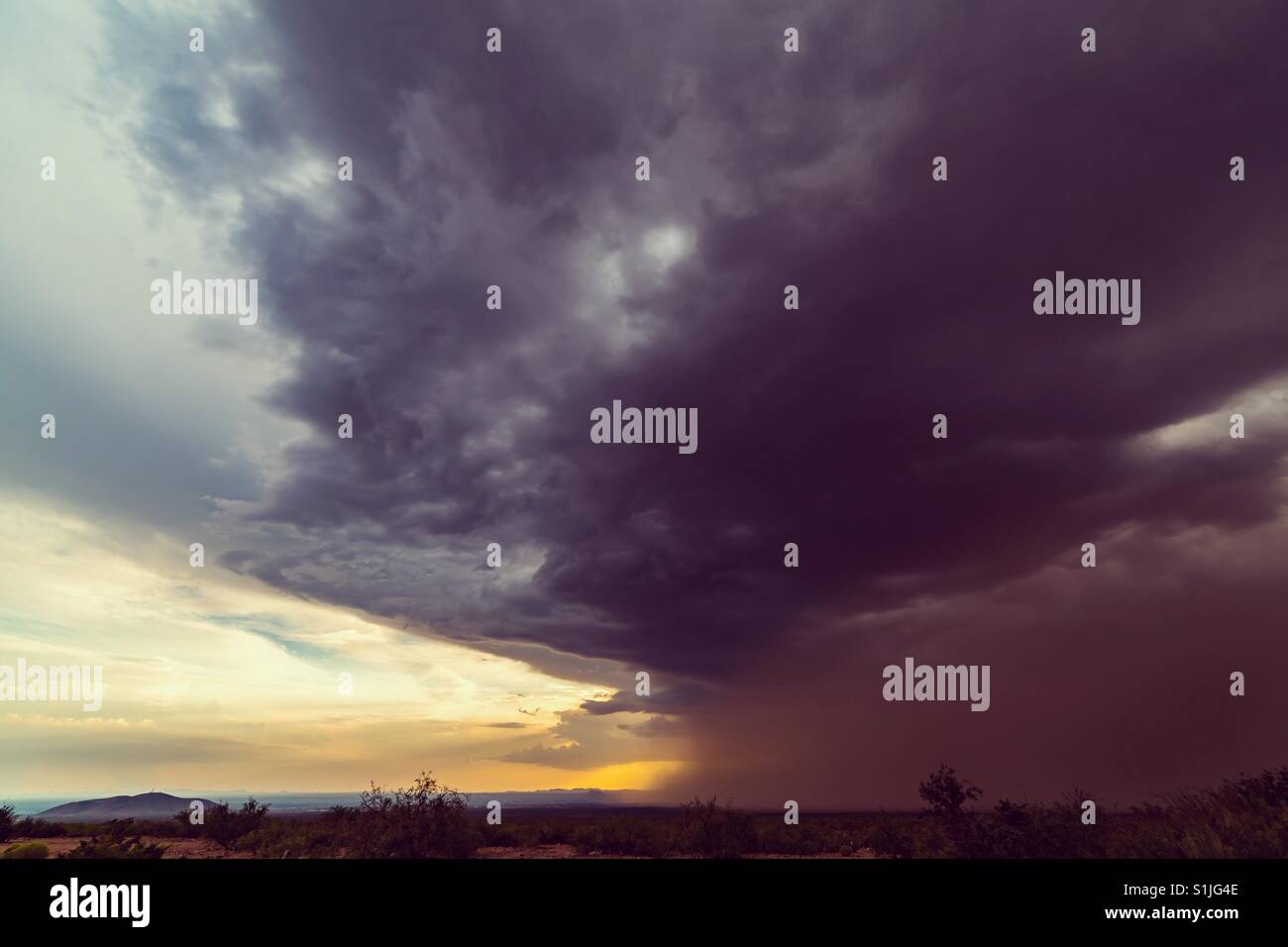 Haboob sandstorm hi-res stock photography and images - Alamy