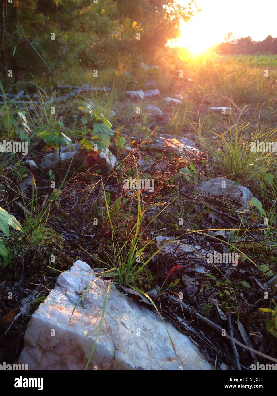 Sunset on quartz field hi-res stock photography and images - Alamy