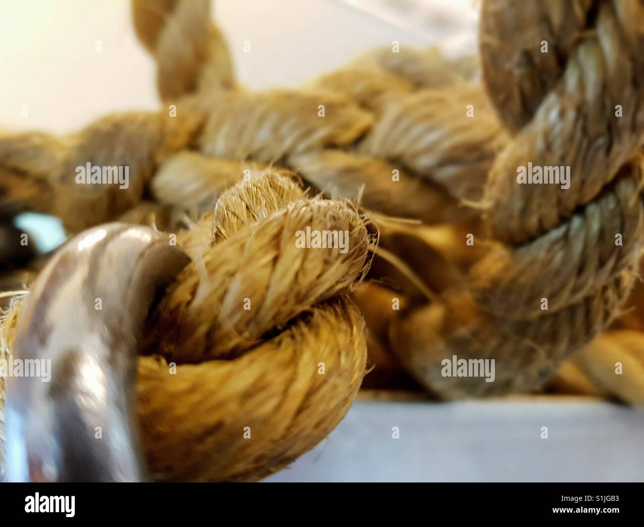 Tangled ropes hi-res stock photography and images - Alamy