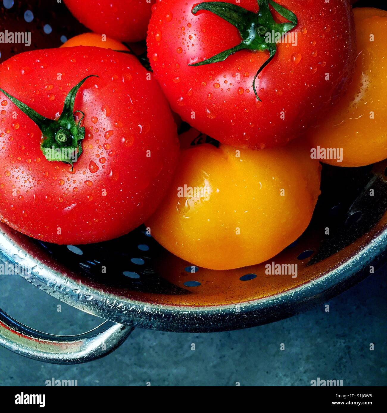 A close up shot of freshly washed red and orange tomatoes in a metal ...