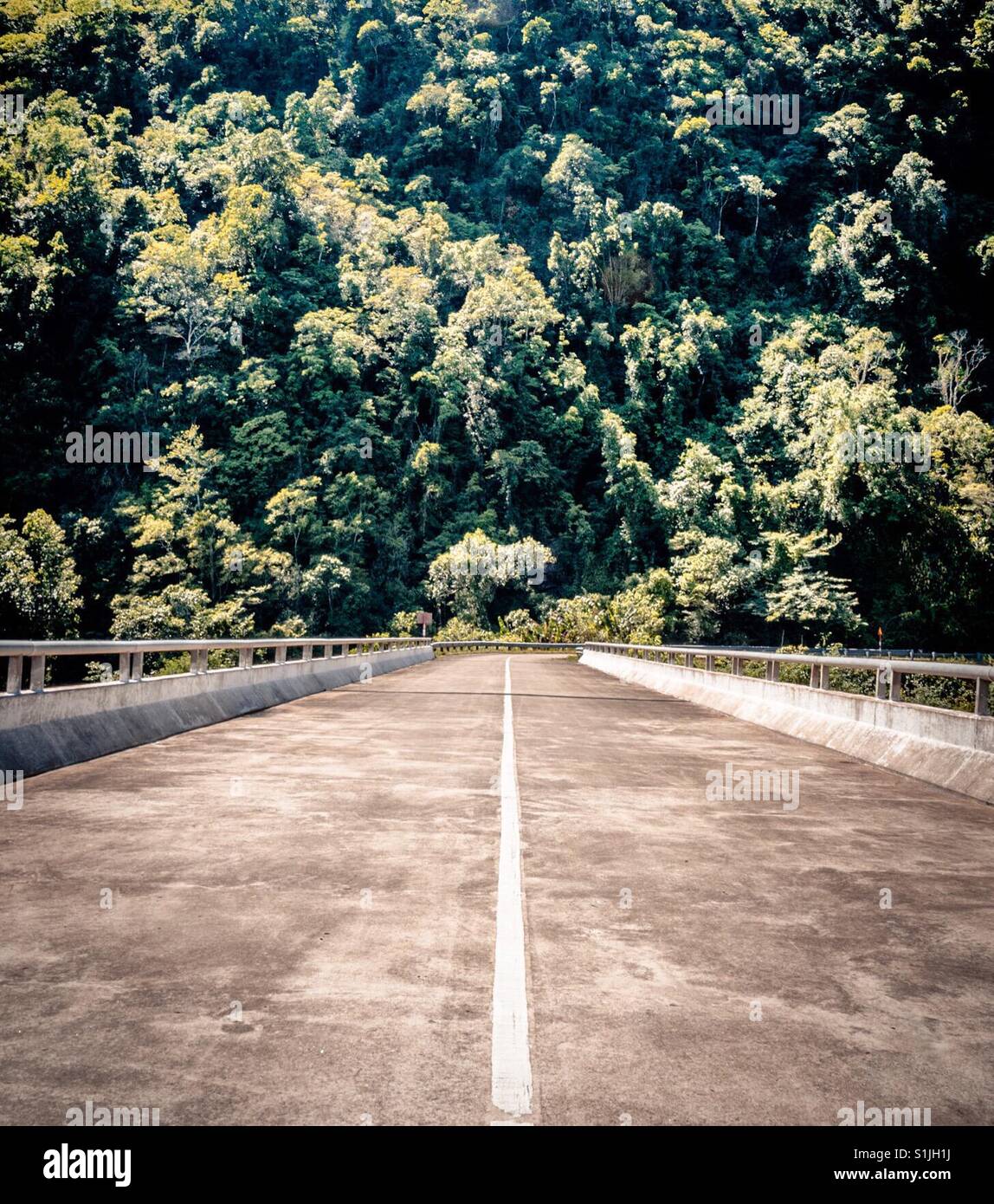 Rainforest road hi-res stock photography and images - Alamy
