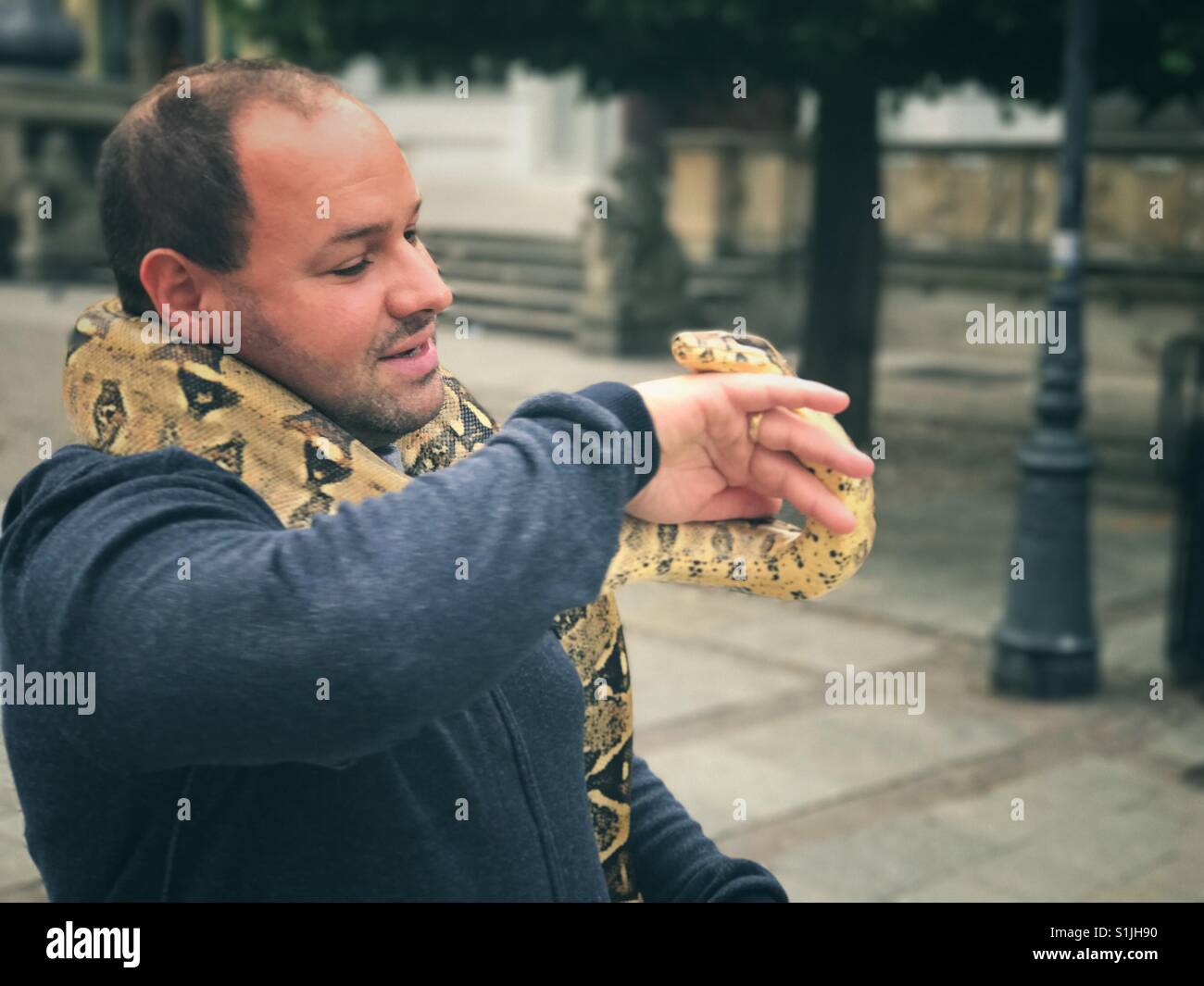 Man holding a snake Stock Photo - Alamy