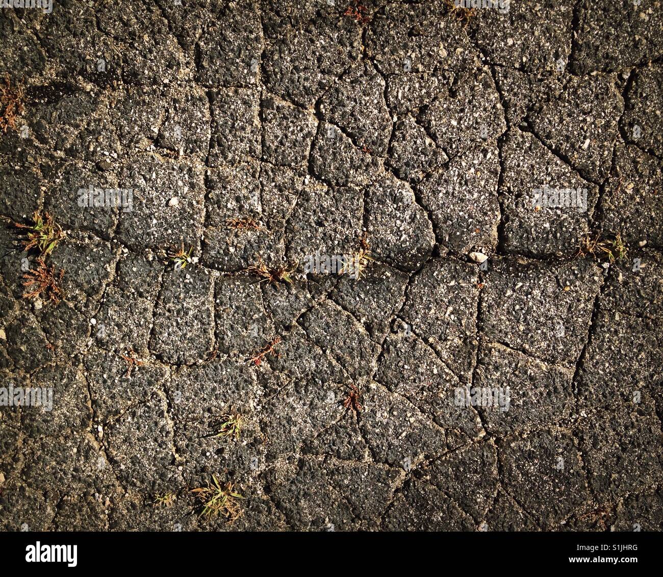 Overgrown parking lot hi-res stock photography and images - Alamy