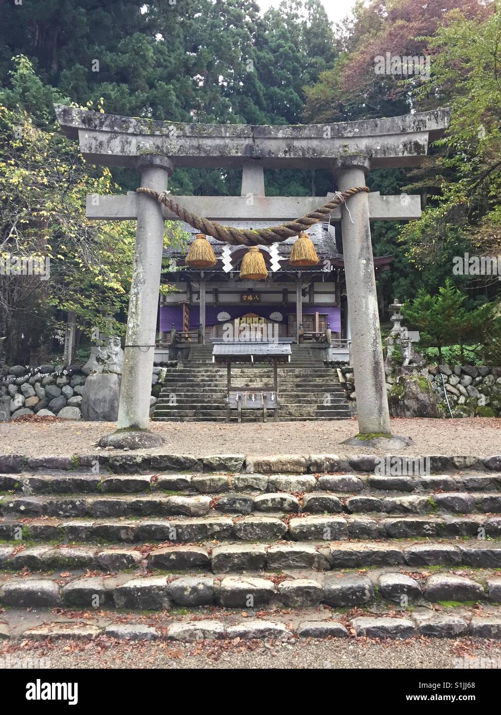Japanese tori gate hi-res stock photography and images - Alamy
