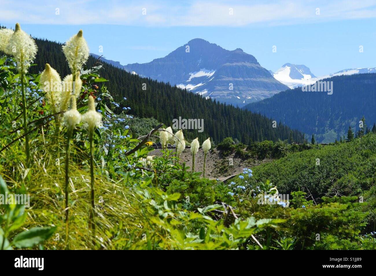 Gnp hi-res stock photography and images - Alamy