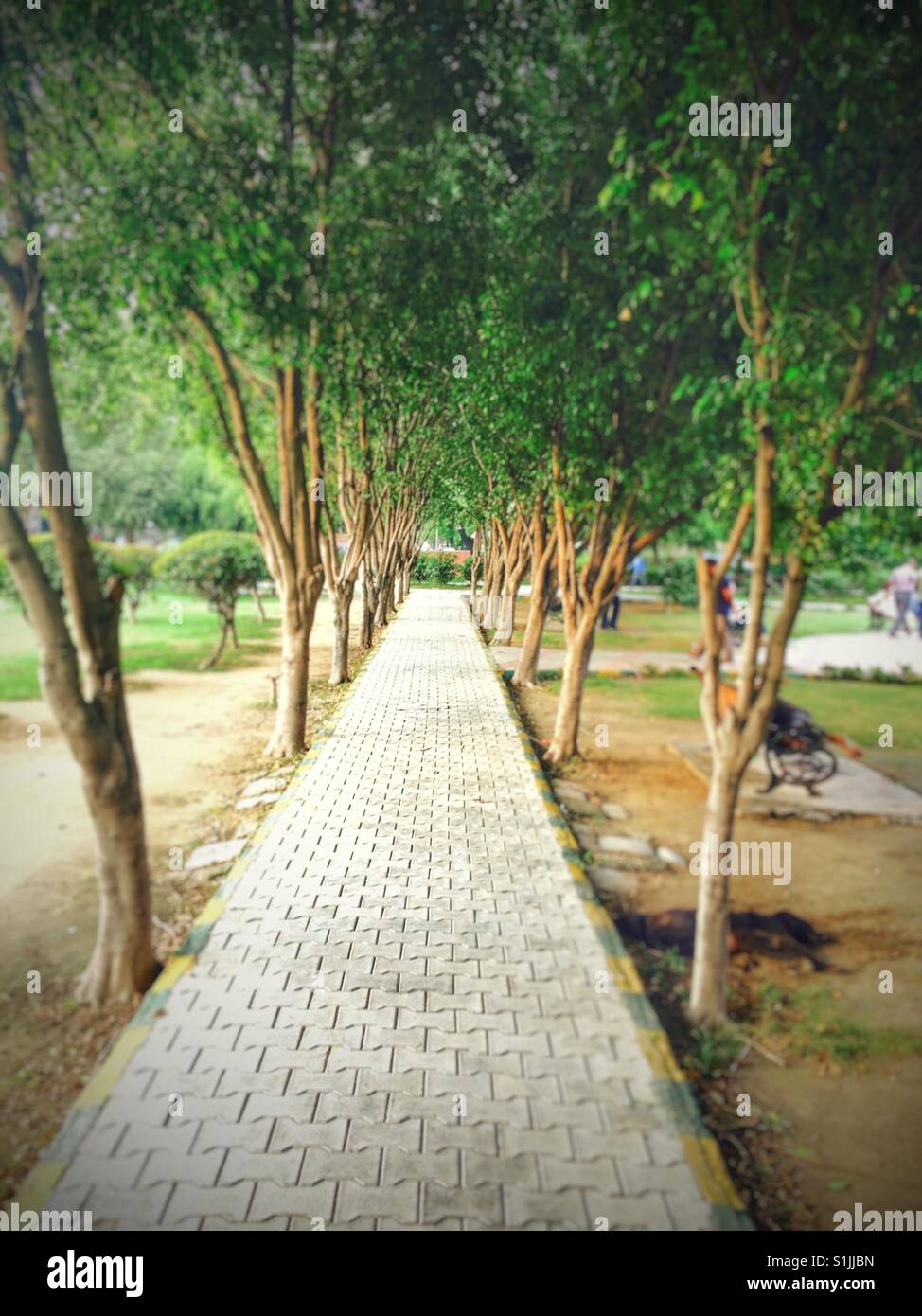 Path of peace hi-res stock photography and images - Alamy