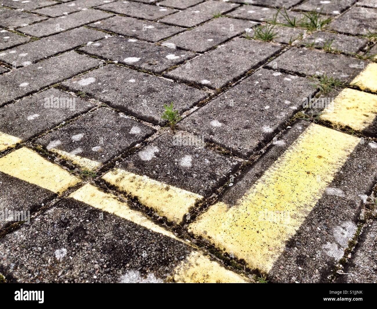 Pavement pattern hi-res stock photography and images - Alamy