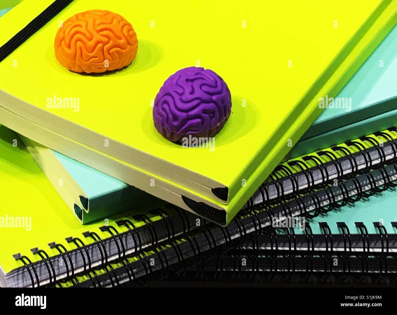 Eraser brain hi-res stock photography and images - Alamy