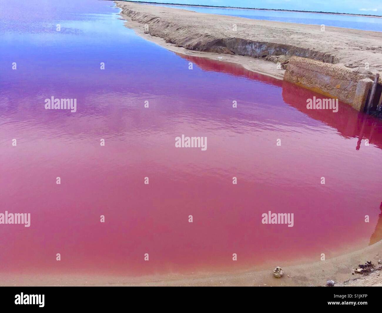 Pink lakes mexico hi-res stock photography and images - Alamy