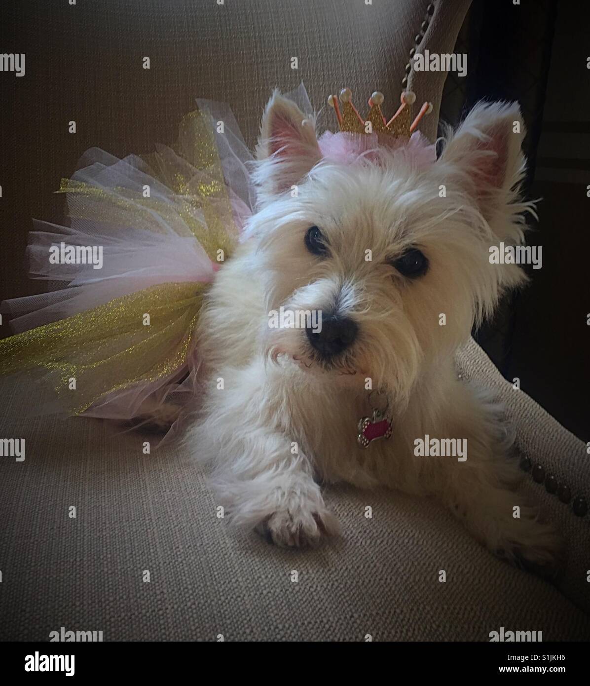 Princess zoe hi-res stock photography and images - Alamy